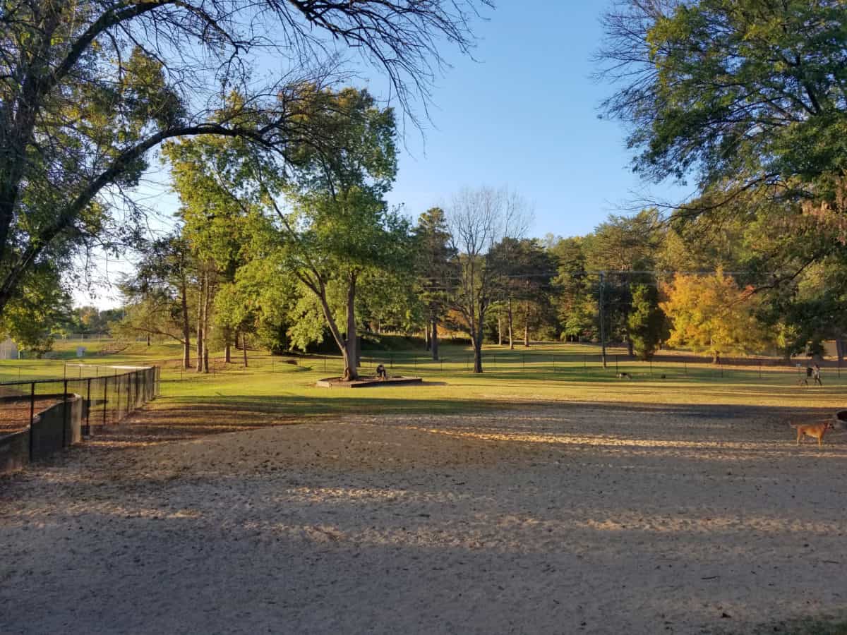 Washington Park Winston-Salem, NC | Kid-Friendly Triad
