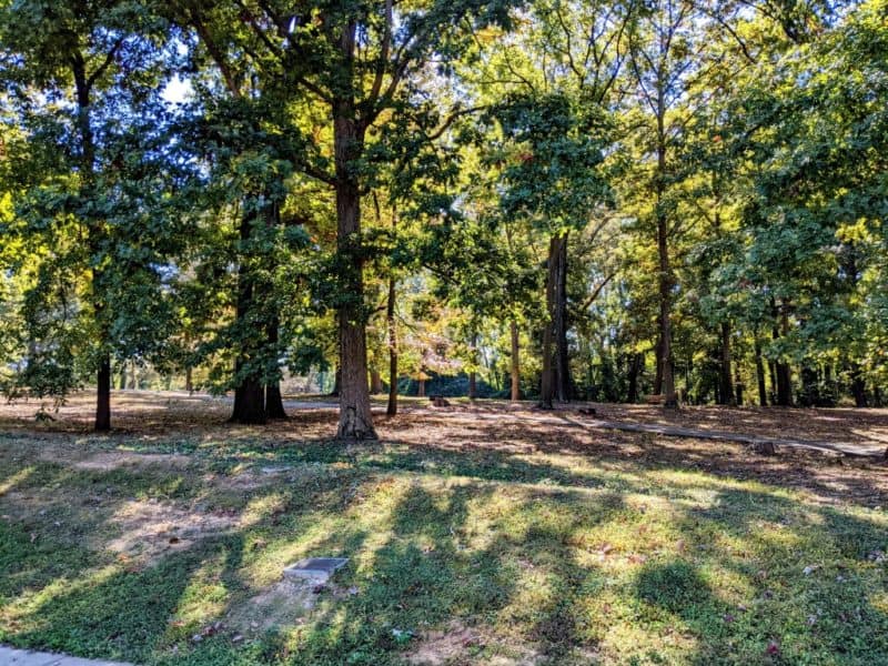 Blum/Dinah D. Blanding Park - Kid Friendly Triad